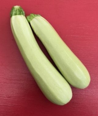 Zucchini | John Scheepers Kitchen Garden Seeds