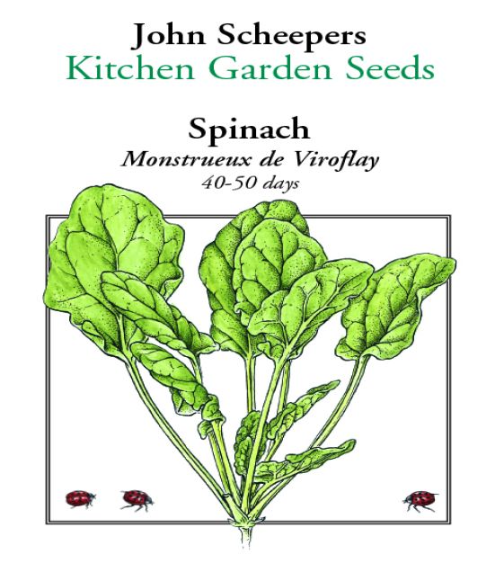 spinach leaf types