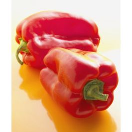 Jupiter Bell Pepper | John Scheepers Kitchen Garden Seeds