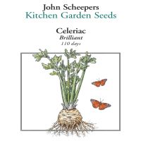 celeriac planting guide