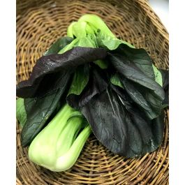 Purple Pak choi | John Scheepers Kitchen Garden Seeds
