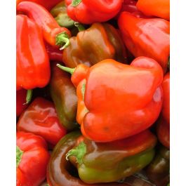 Quadrato d'Asti Rosso Bell Pepper | John Scheepers Kitchen Garden Seeds