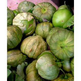Toma Verde Tomatillo | John Scheepers Kitchen Garden Seeds