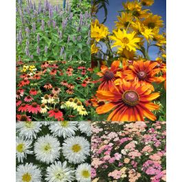 The Perennial Bouquet Garden | John Scheepers Kitchen Garden Seeds