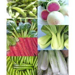The Asian Vegetable Sampler | John Scheepers Kitchen Garden Seeds