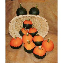 The Batwing Mini Pumpkin Mixture | John Scheepers Kitchen Garden Seeds